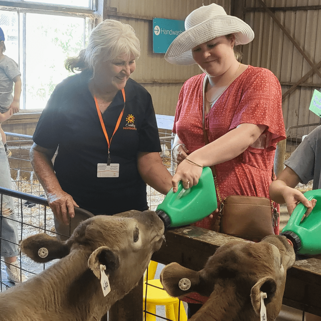 Enabling Independence Home